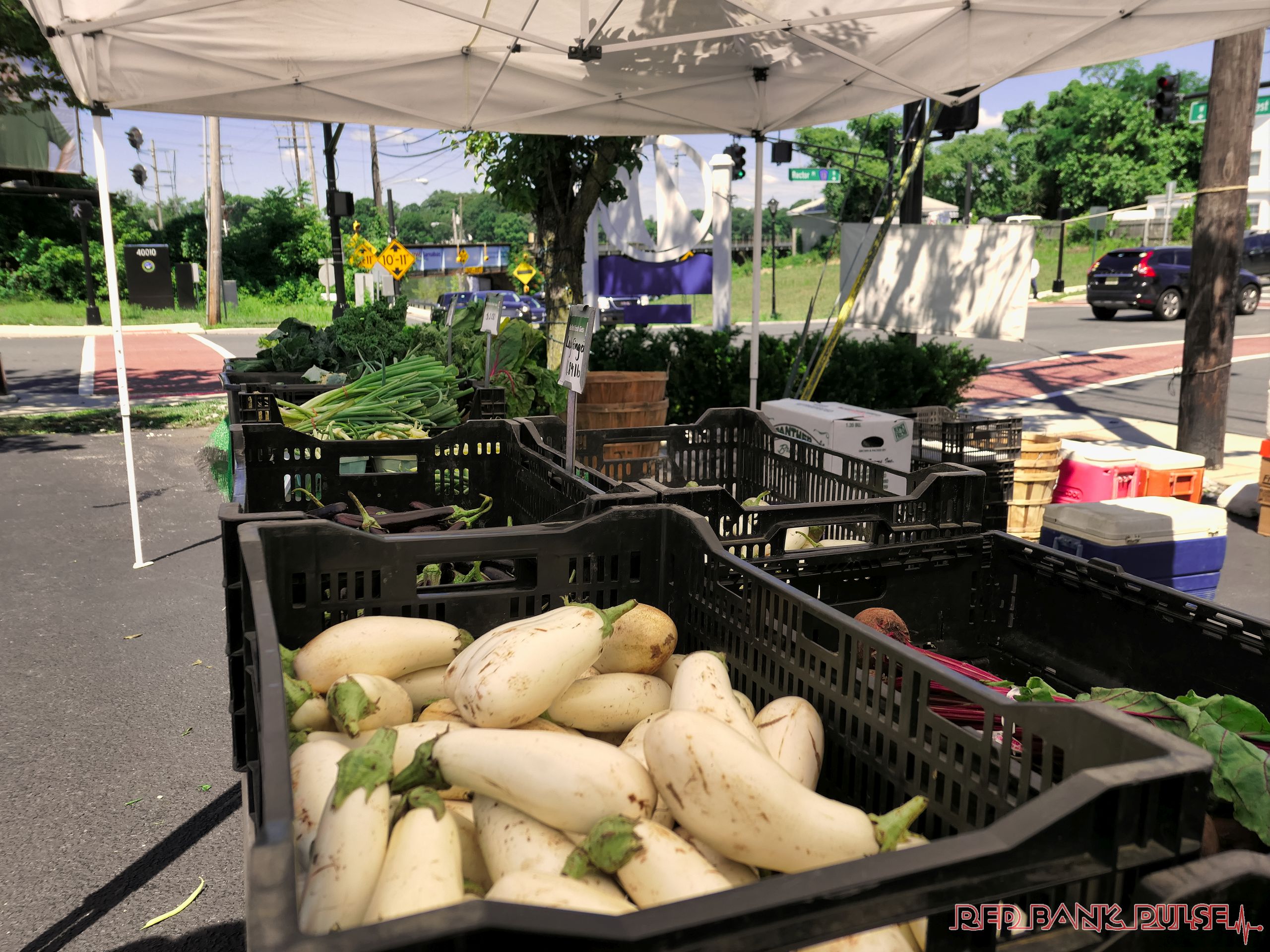 Red Bank Farmers Market to run every Sunday at The Galleria Parking Lot ...