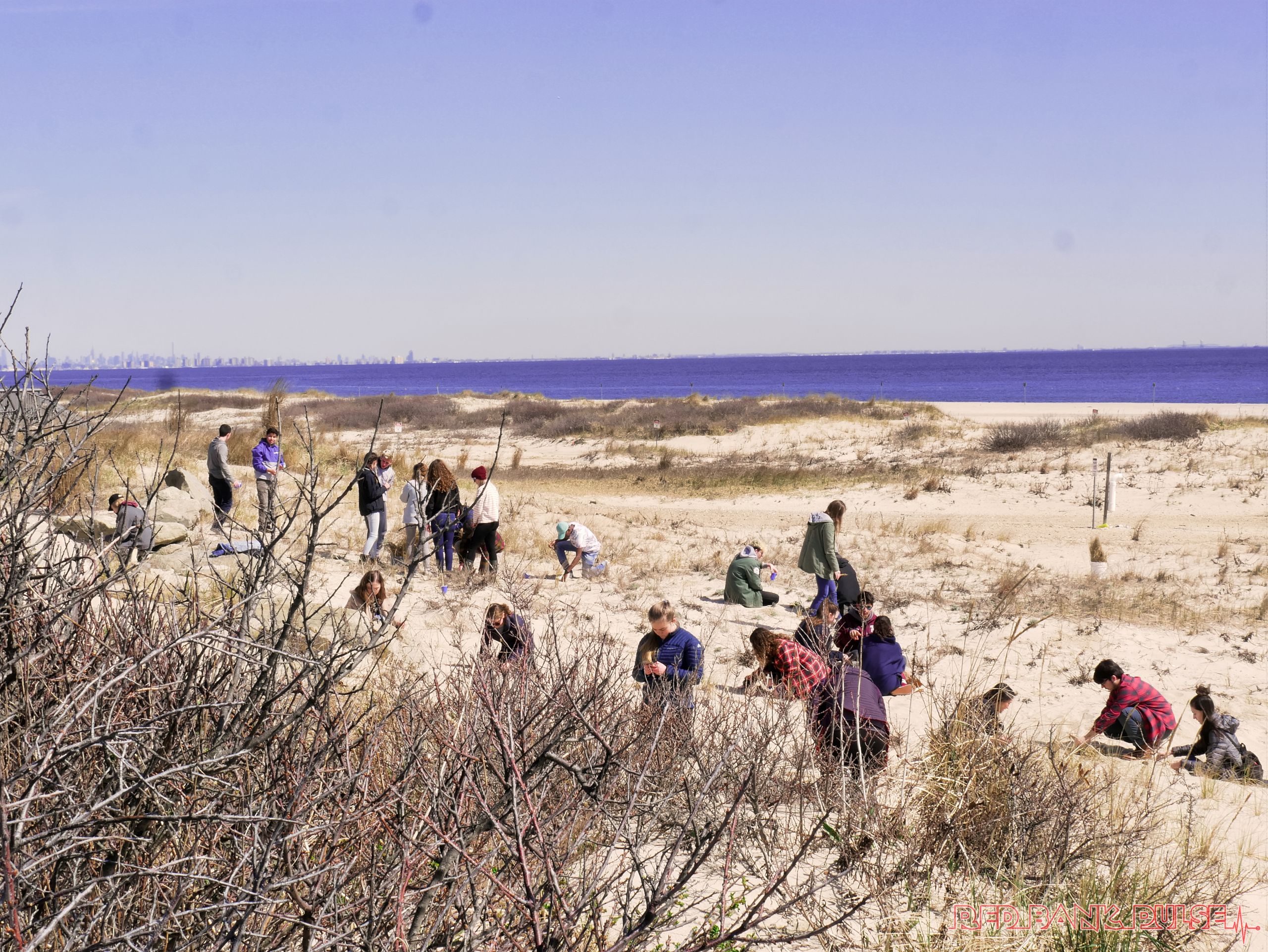 Clean Ocean Action’s beach sweeps brings awareness to plastic pollution ...