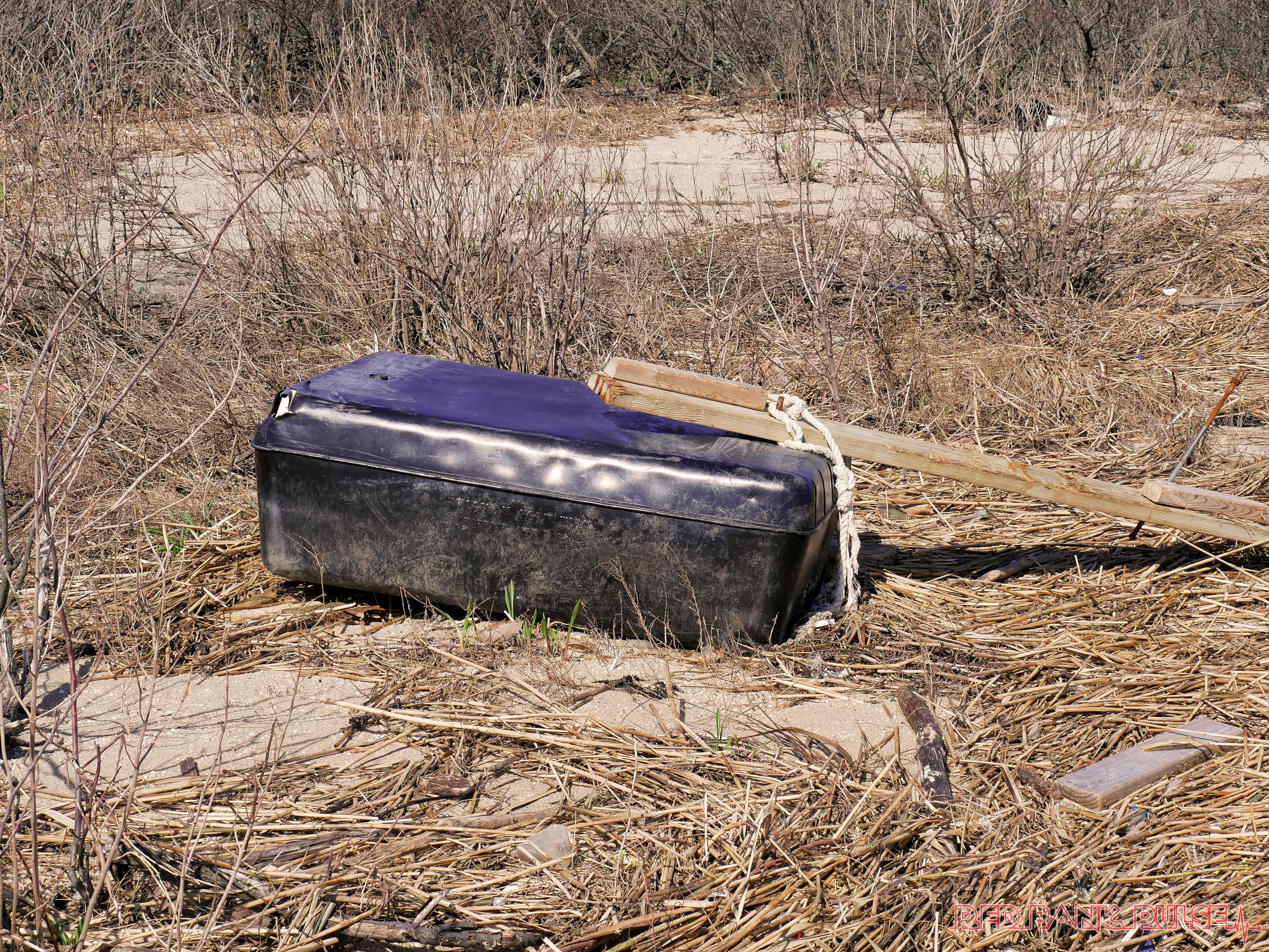Clean Ocean Action's beach sweeps brings awareness to plastic pollution ...