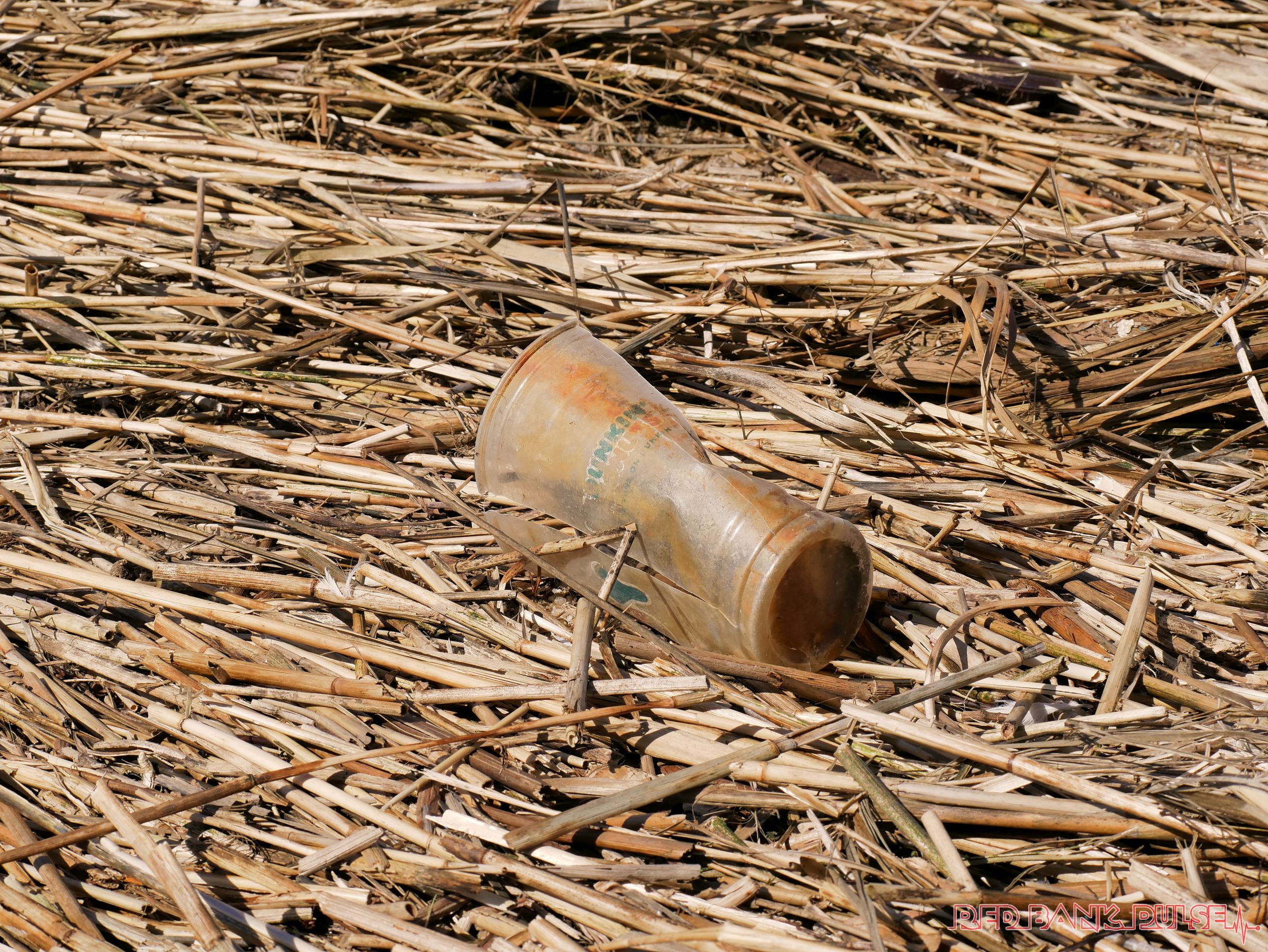 Clean Ocean Action’s beach sweeps brings awareness to plastic pollution ...