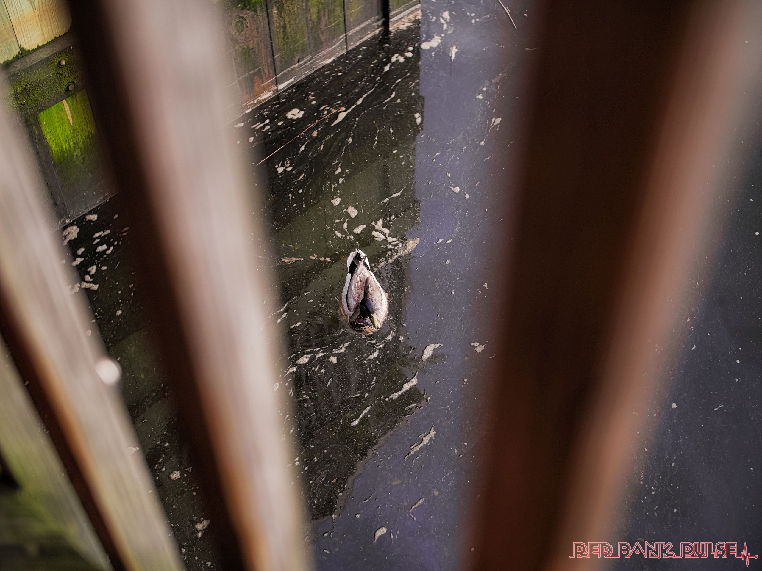 Boondock’s Fishery Lobster Red Bank 21 of 23