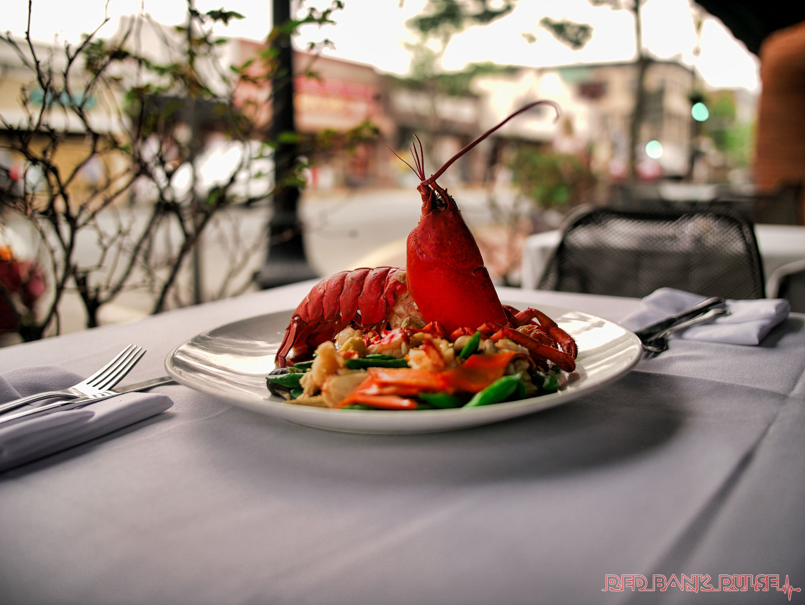 Temple Gourmet Chinese Jersey Shore Summer Guide 30 of 42