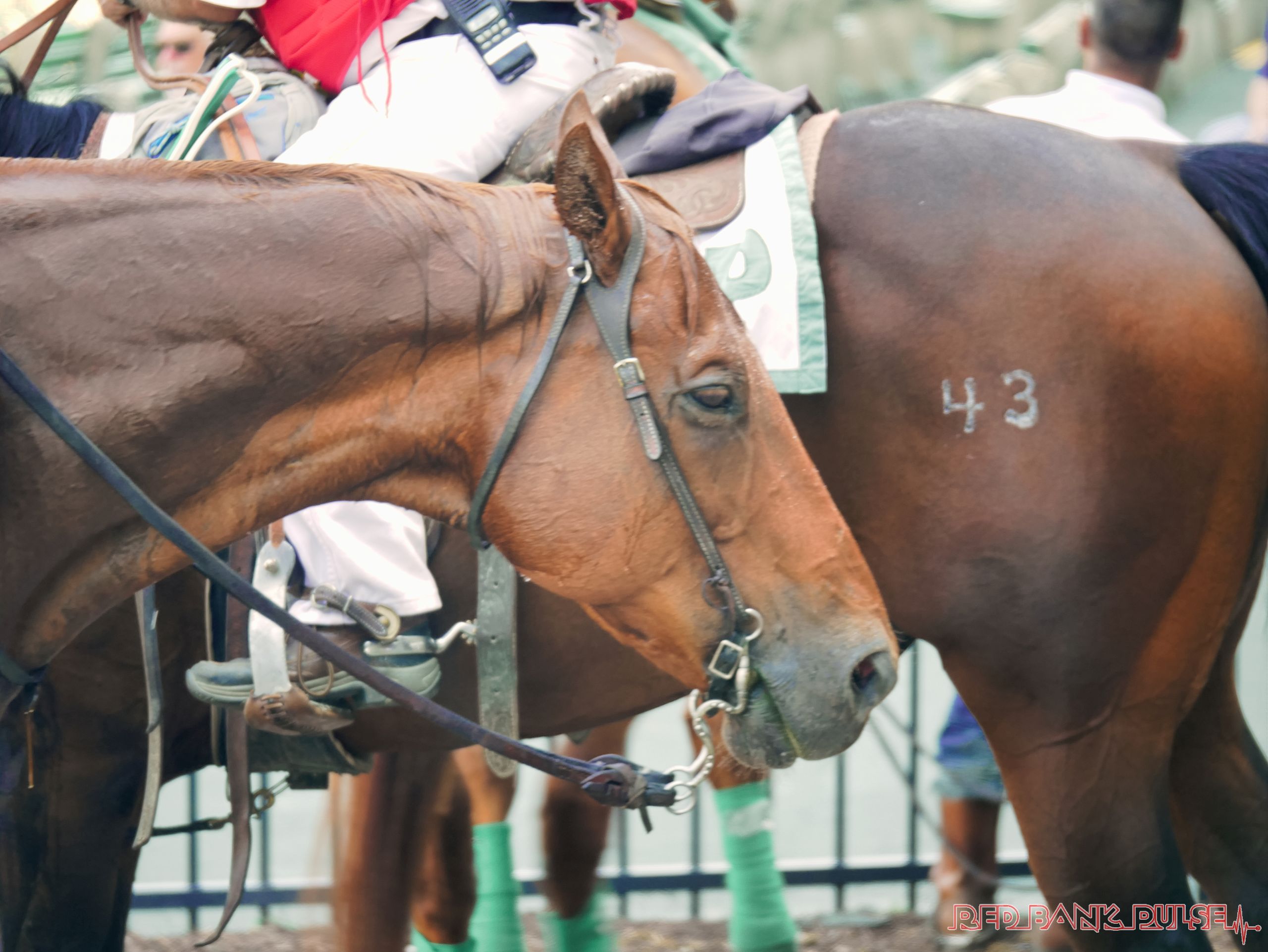 Surf & Turf Festival 2018 Monmouth Park Racetrack Oceanport 10 of 44