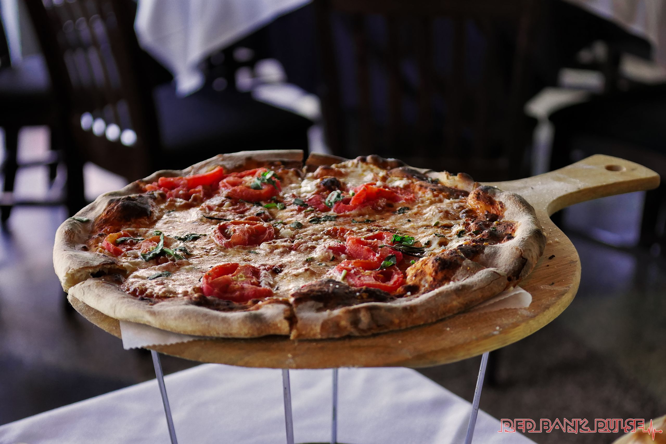 Red Bank Pulse Spotlight: Stella Marina Bar & Restaurant