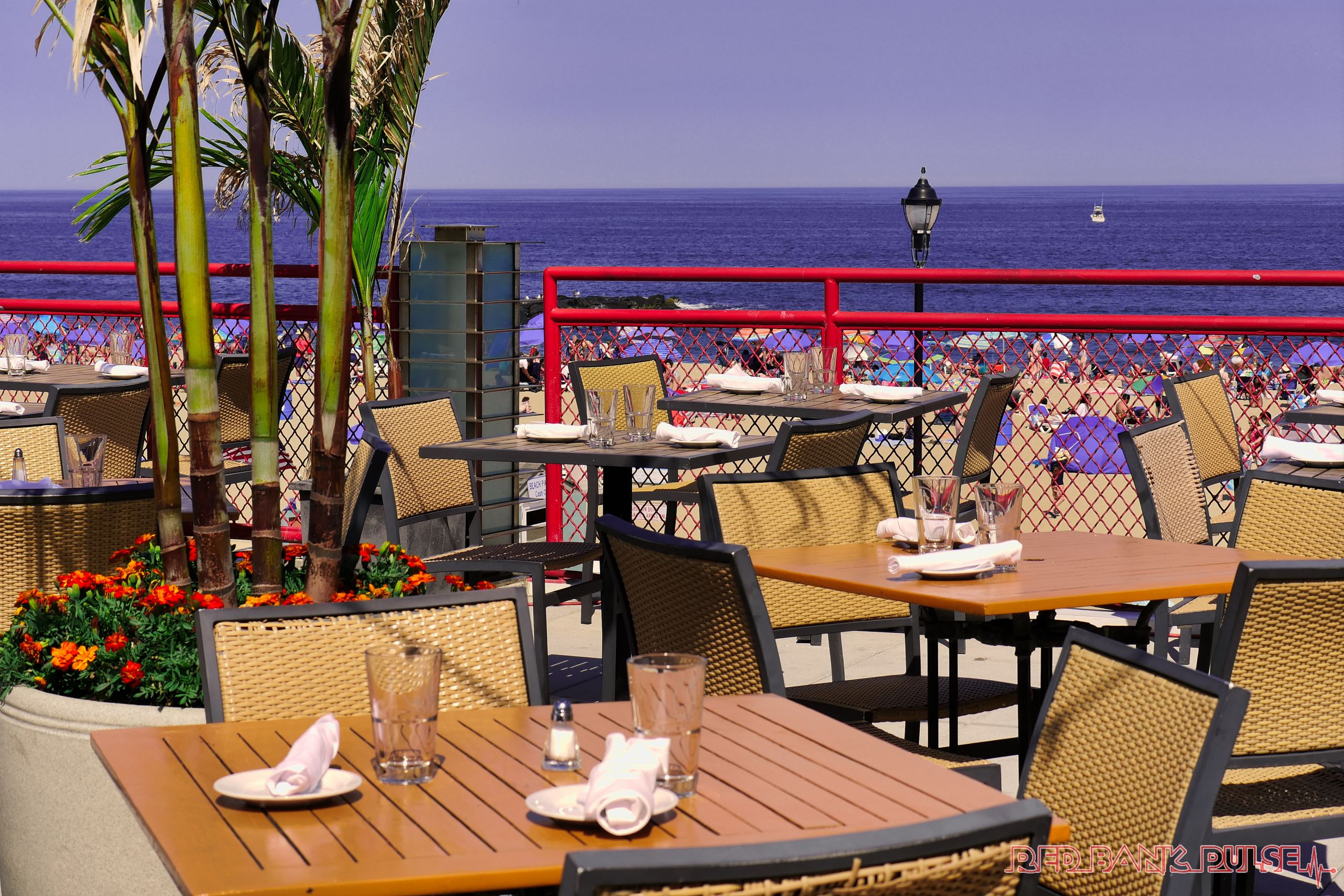 Red Bank Pulse Spotlight: Stella Marina Bar & Restaurant