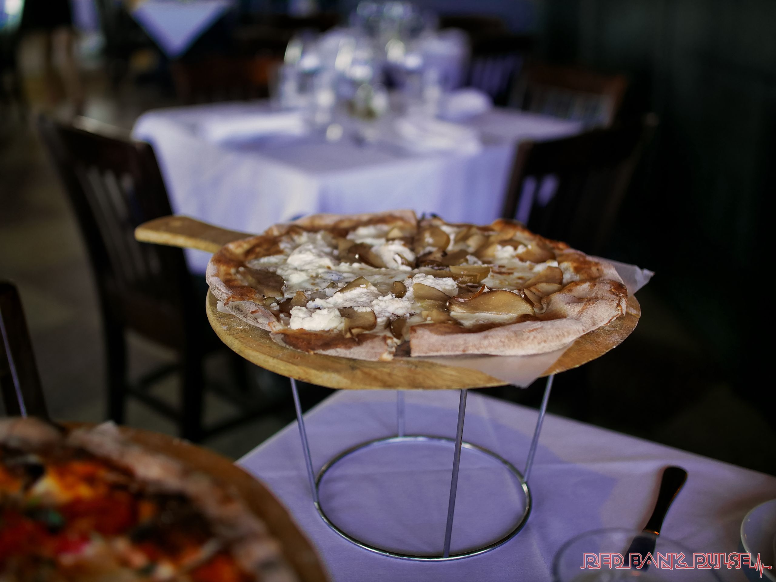 Red Bank Pulse Spotlight: Stella Marina Bar & Restaurant