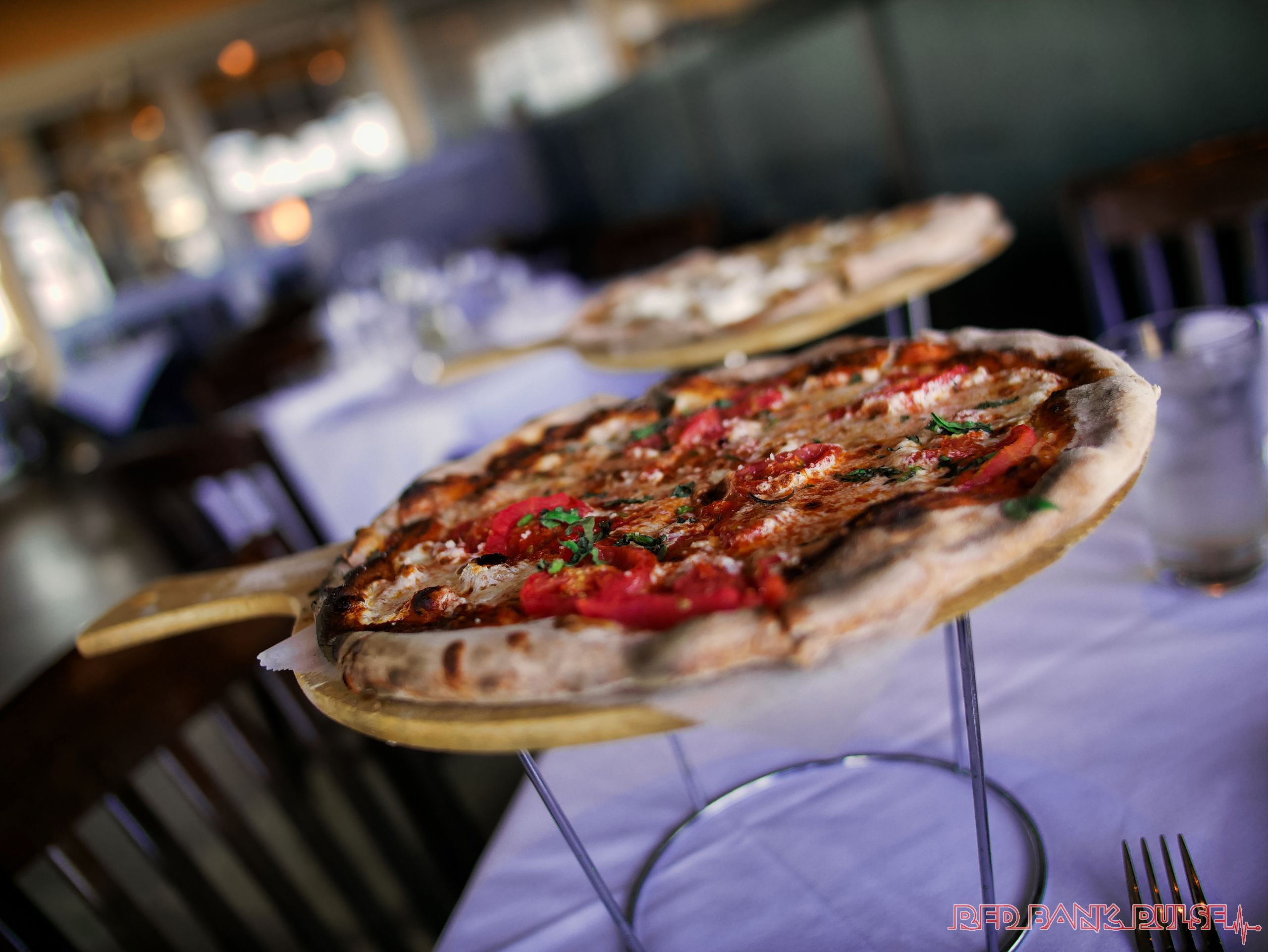 Red Bank Pulse Spotlight: Stella Marina Bar & Restaurant