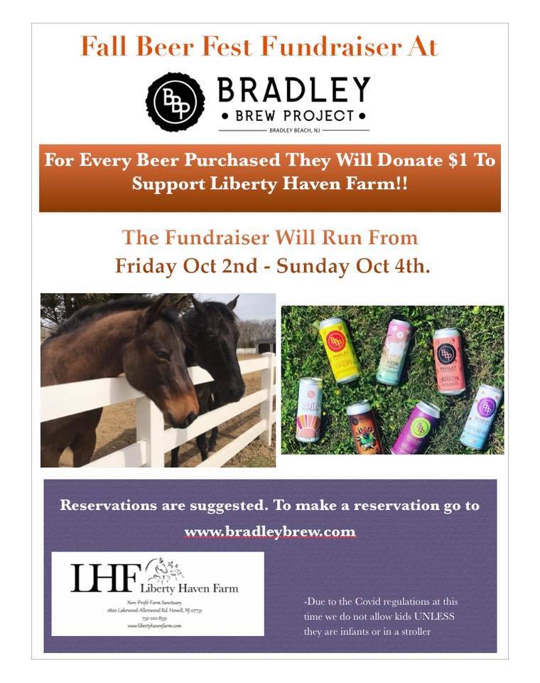 Fall Beer Fest Fundraiser at The Bradley Brew Project to benefit ...