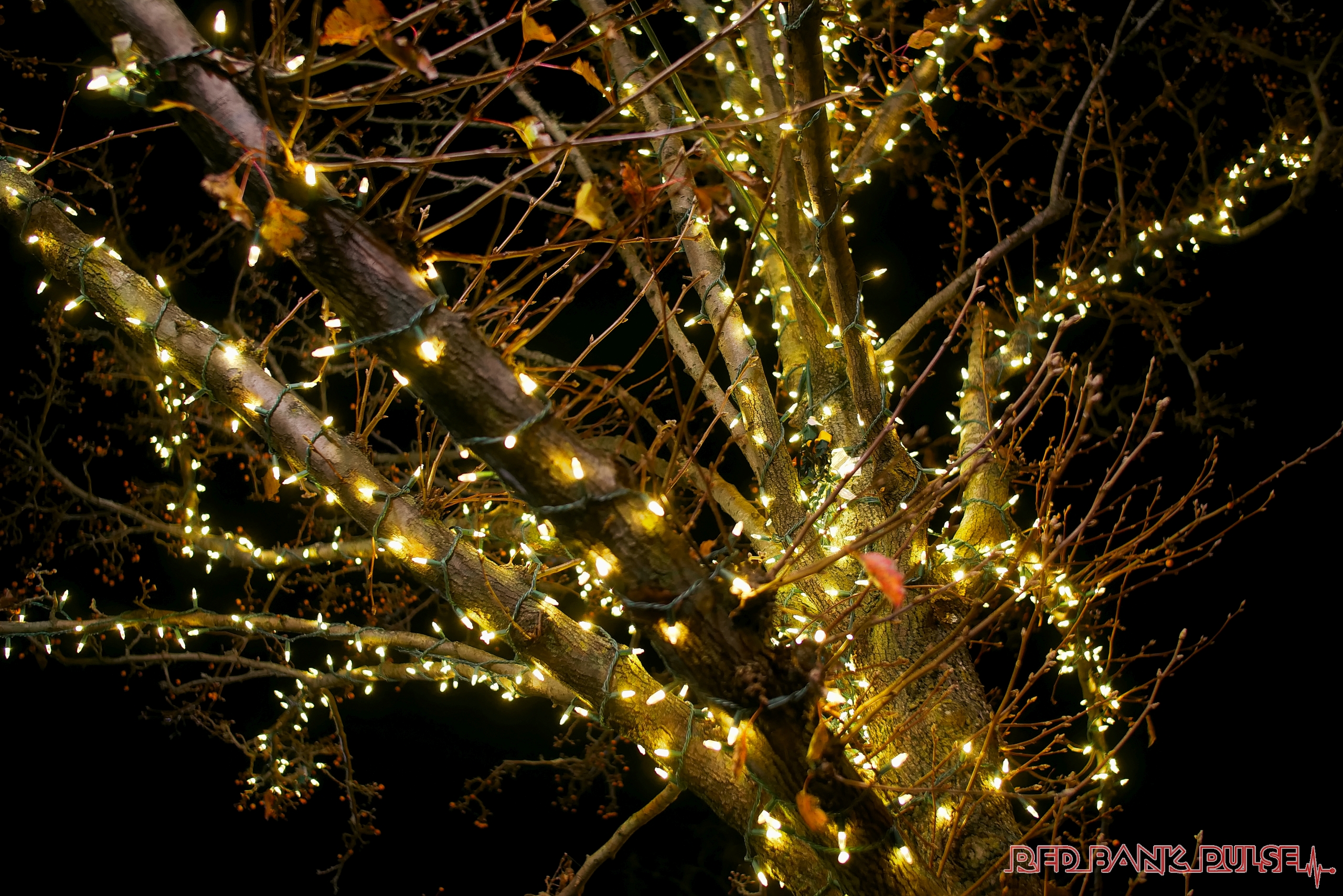 Red Bank’s holiday lights quietly gets turned on to spread cheer & joy ...