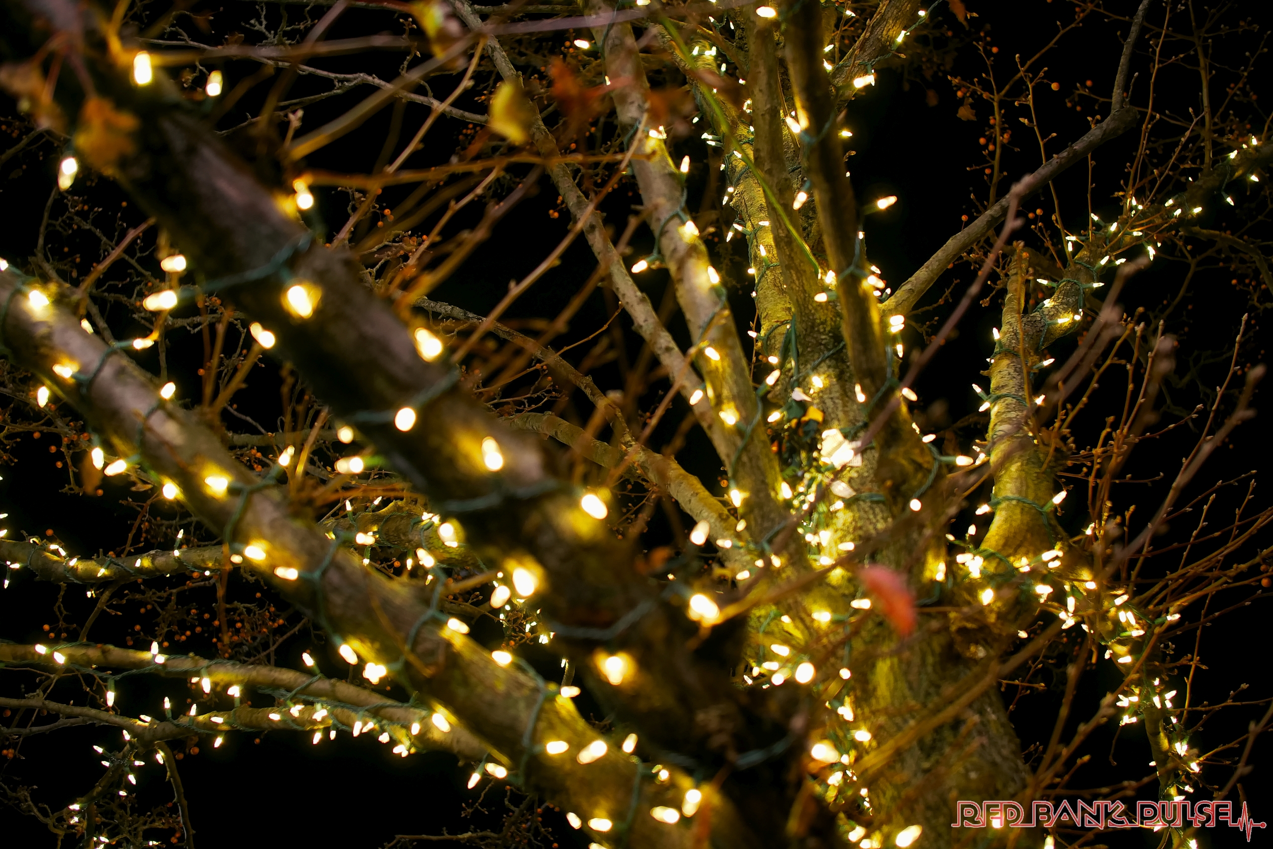 Red Bank’s holiday lights quietly gets turned on to spread cheer & joy ...