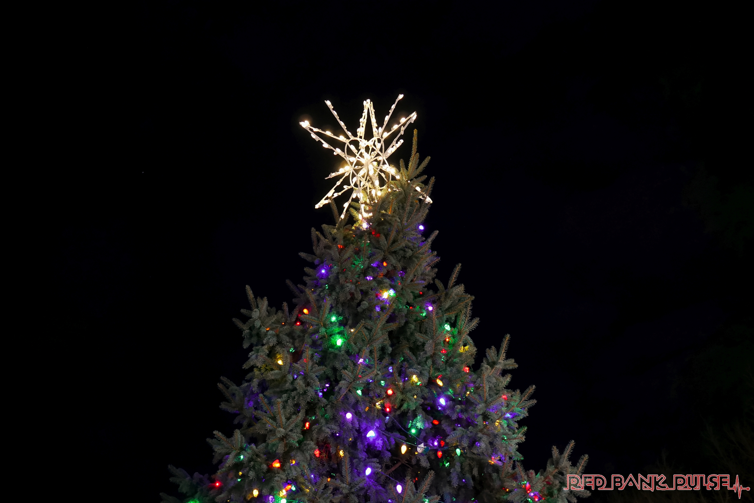 Red Bank Holiday Lights 2020 8 of 48
